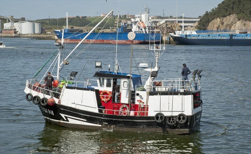 EL DAVID - Vesseljoin