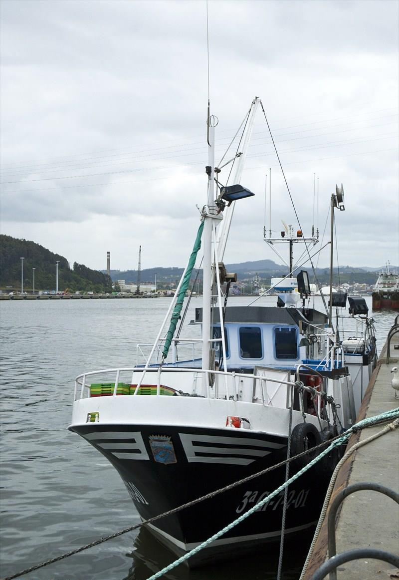 EL DAVID - Vesseljoin