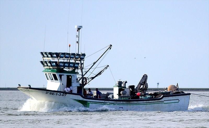 NUEVO GALATEA - Vesseljoin