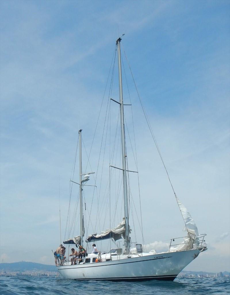 BARCELONA - Vesseljoin