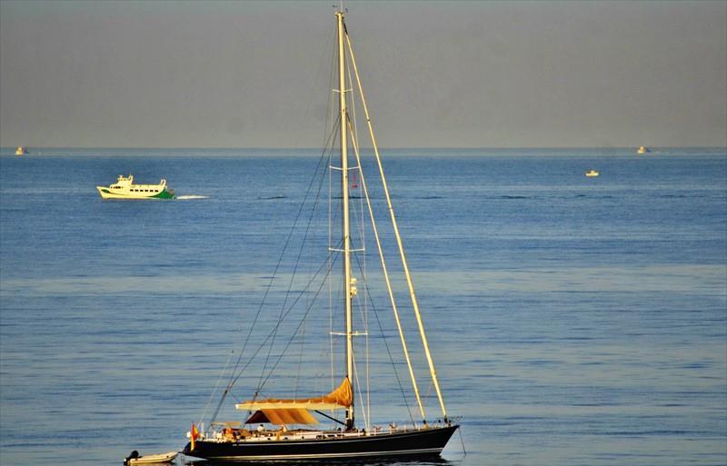 LIZARD OF CORNWALL - Vesseljoin