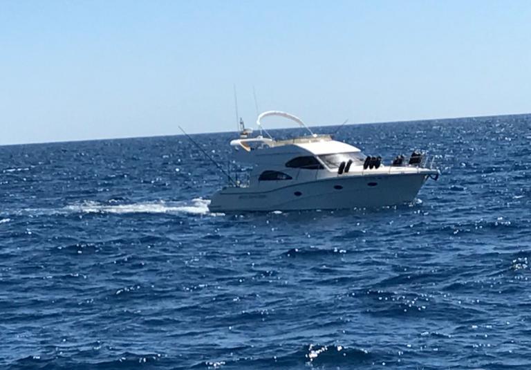 PACHA II - Vesseljoin