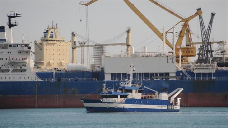 EMMA BARDAN - Vesseljoin