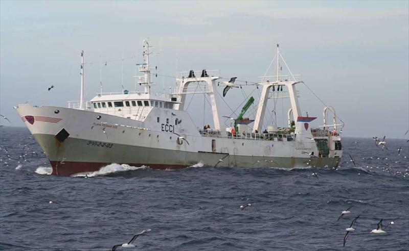 PLAYA PESMAR DOS - Vesseljoin