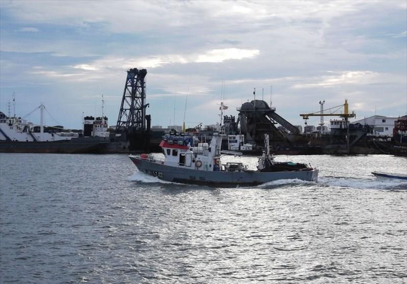 FEBEL TERCERO - Vesseljoin