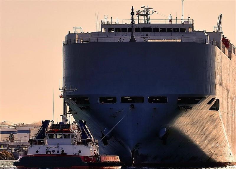 WILLY T - Vesseljoin