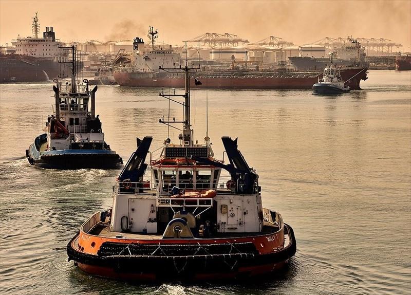 WILLY T - Vesseljoin