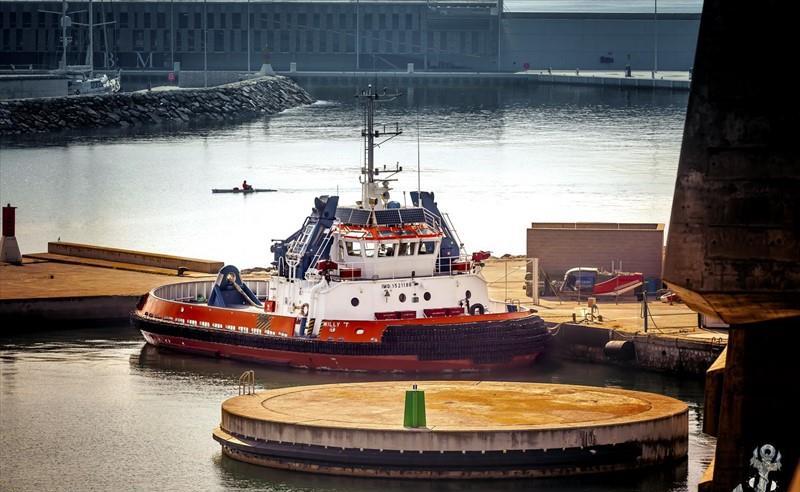 WILLY T - Vesseljoin