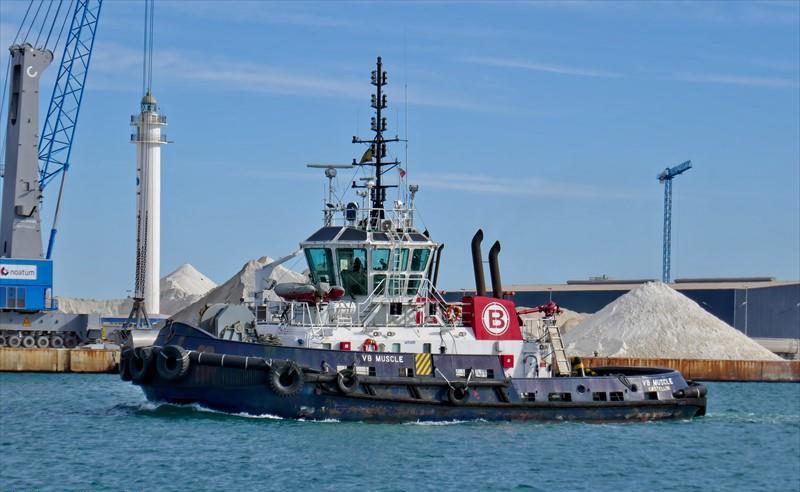 VB MUSCLE - Vesseljoin