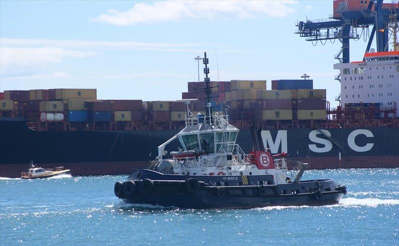 VB MUSCLE - Vesseljoin