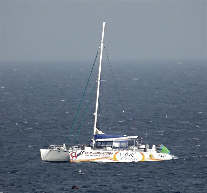 PRINCESS CAT - Vesseljoin