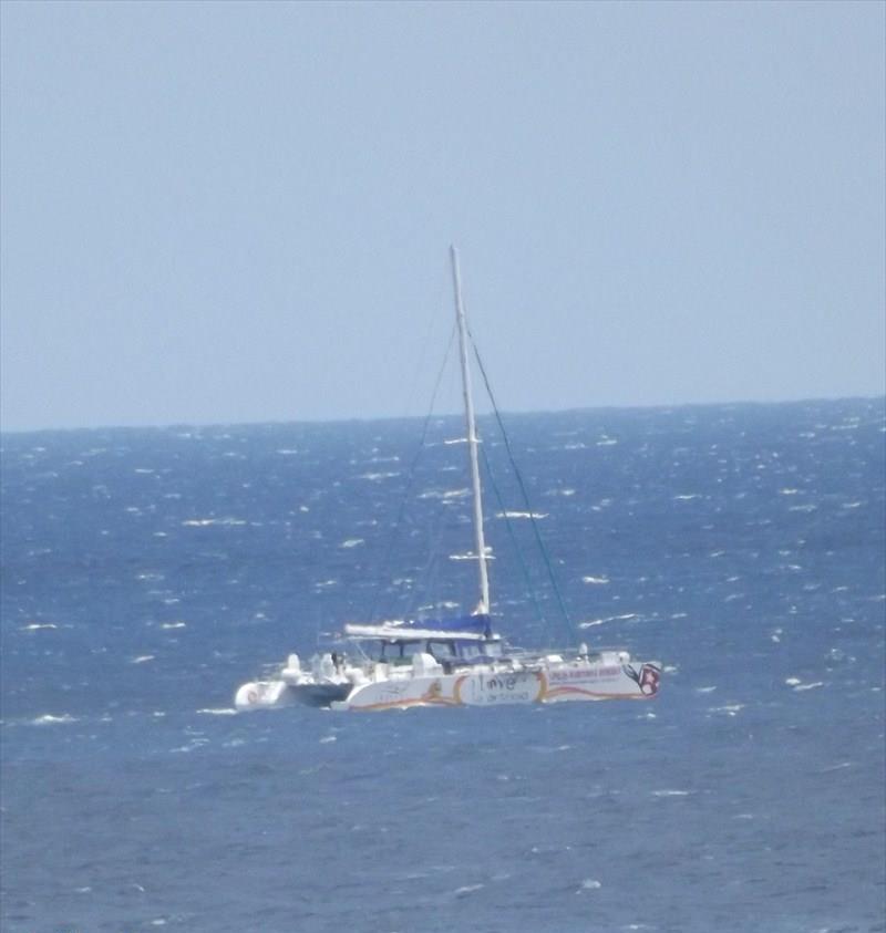 PRINCESS CAT - Vesseljoin