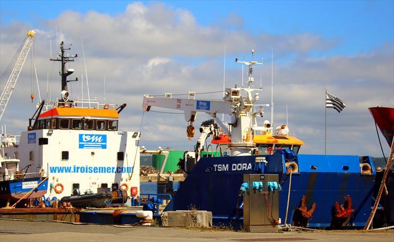 TSM DORA - Vesseljoin