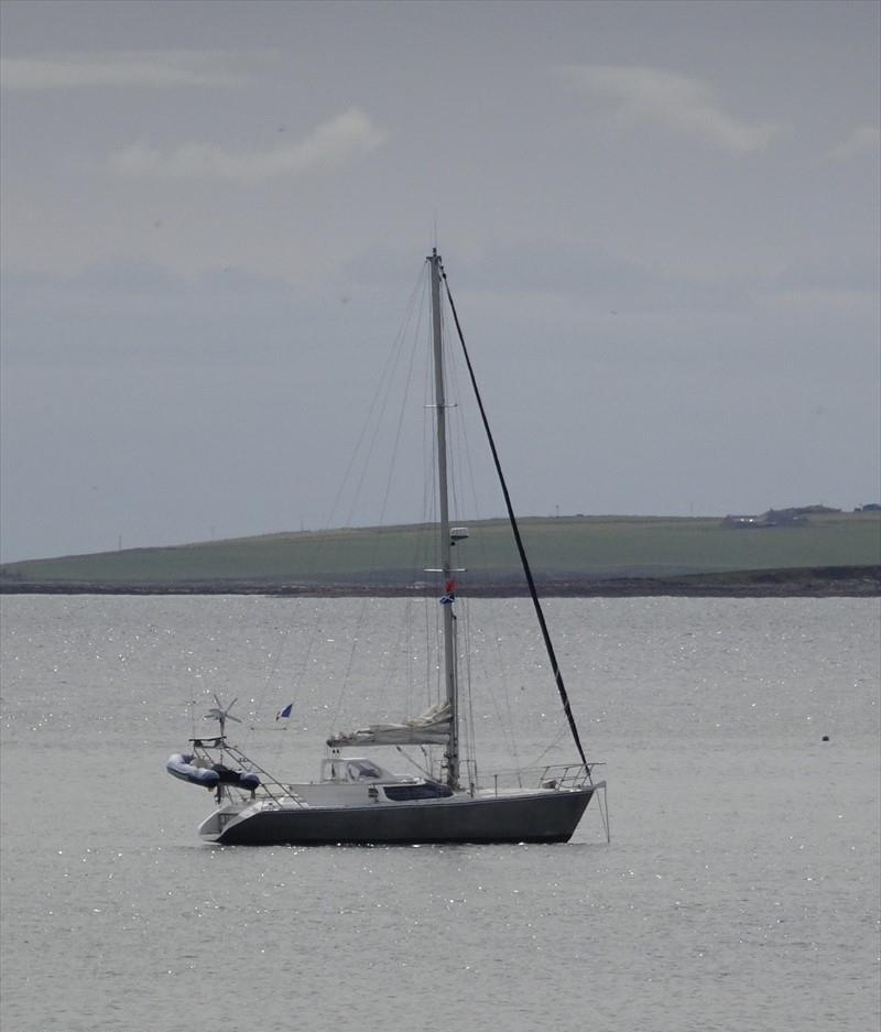 LE PETREL - Vesseljoin