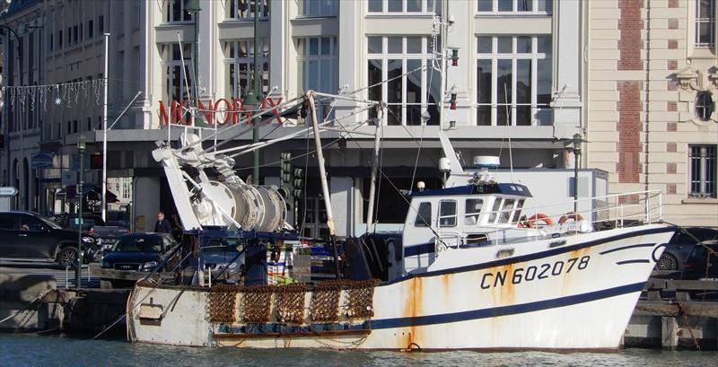 TIN DAN - Vesseljoin