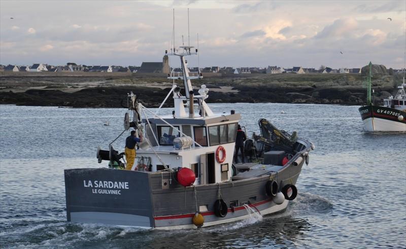 LA SARDANE - Vesseljoin