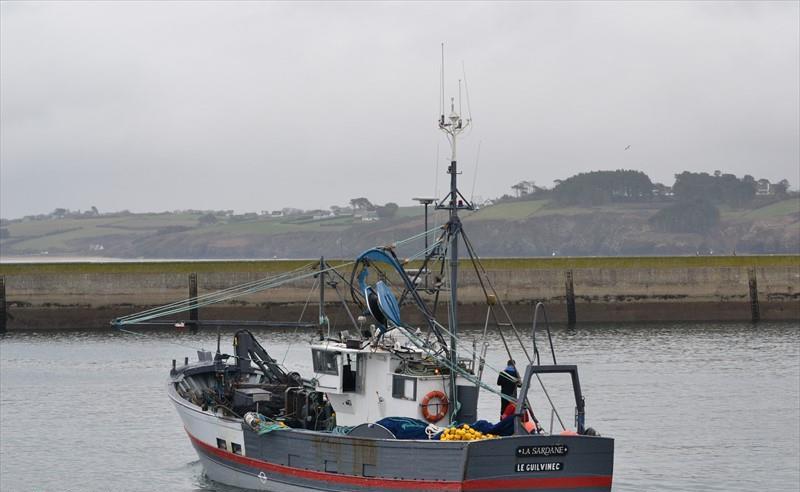 LA SARDANE - Vesseljoin