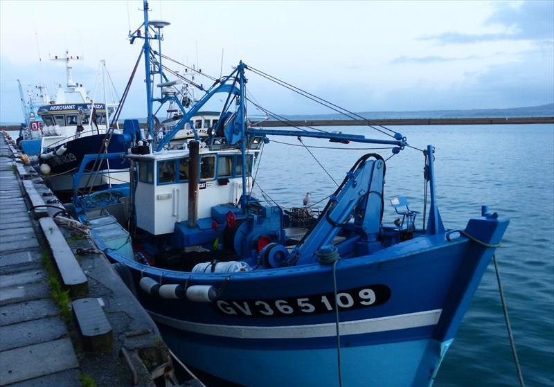 LA SARDANE - Vesseljoin