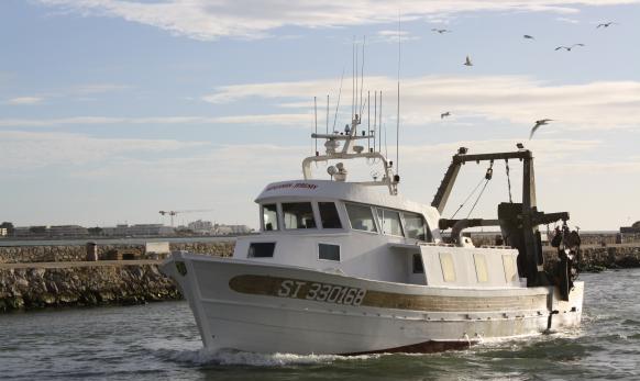 BENJAMIN JEREMY - Vesseljoin