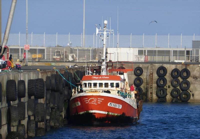 VIERGE DELOCEAN - Vesseljoin