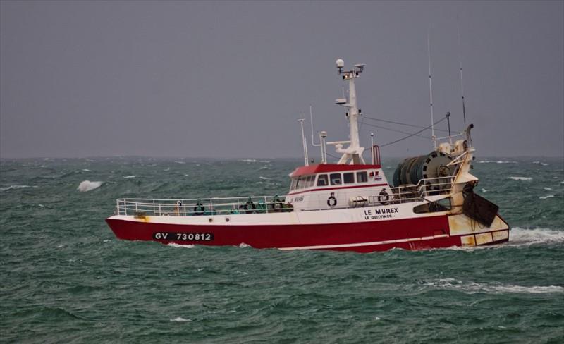 LE MUREX - Vesseljoin