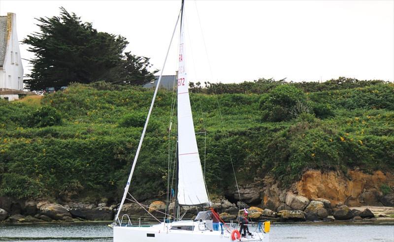 SAFRAN ROUGE - Vesseljoin