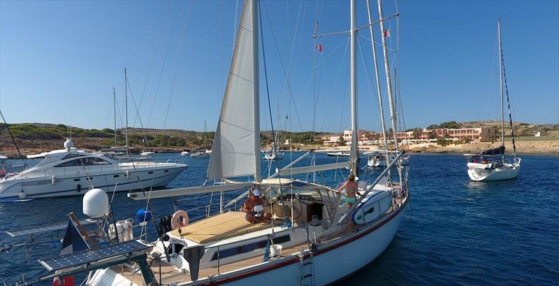 OPHELIE X - Vesseljoin