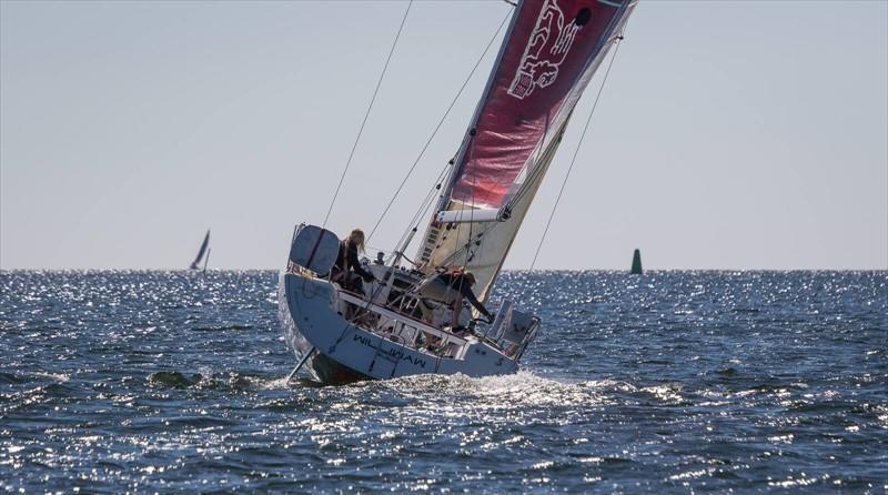 WILLIWAW SOLO SAILOR - Vesseljoin