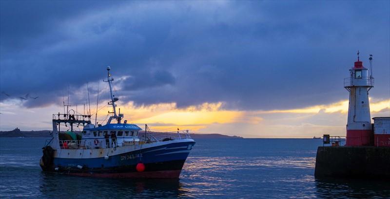 CAP LIZARD - Vesseljoin