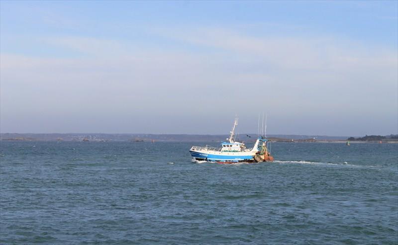 CAP LIZARD - Vesseljoin