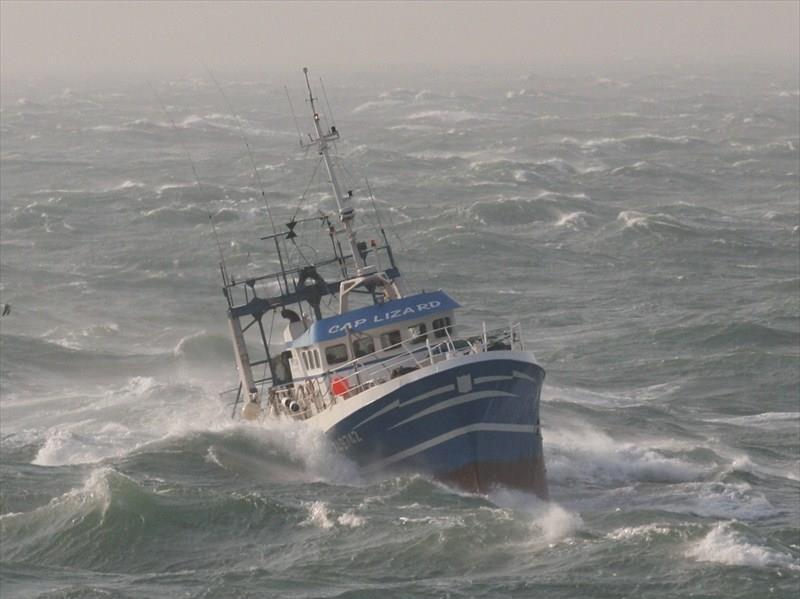 CAP LIZARD - Vesseljoin