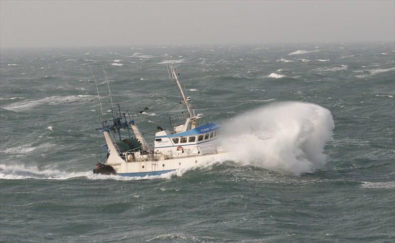 CAP LIZARD - Vesseljoin