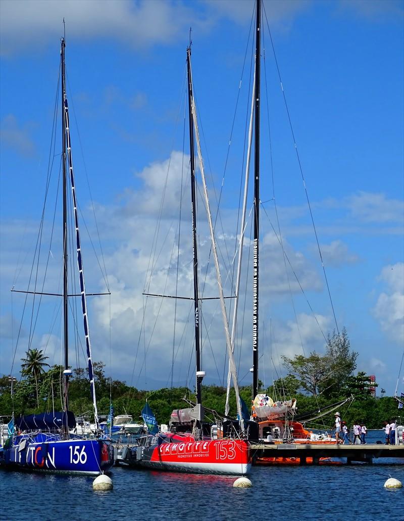 MAGENTA SOLO SAILOR - Vesseljoin