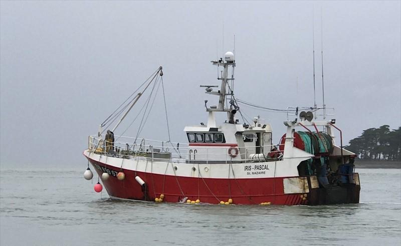 IRIS PASCAL - Vesseljoin