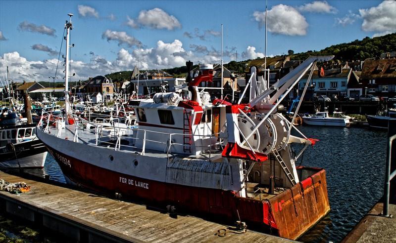 FER DE LANCE - Vesseljoin