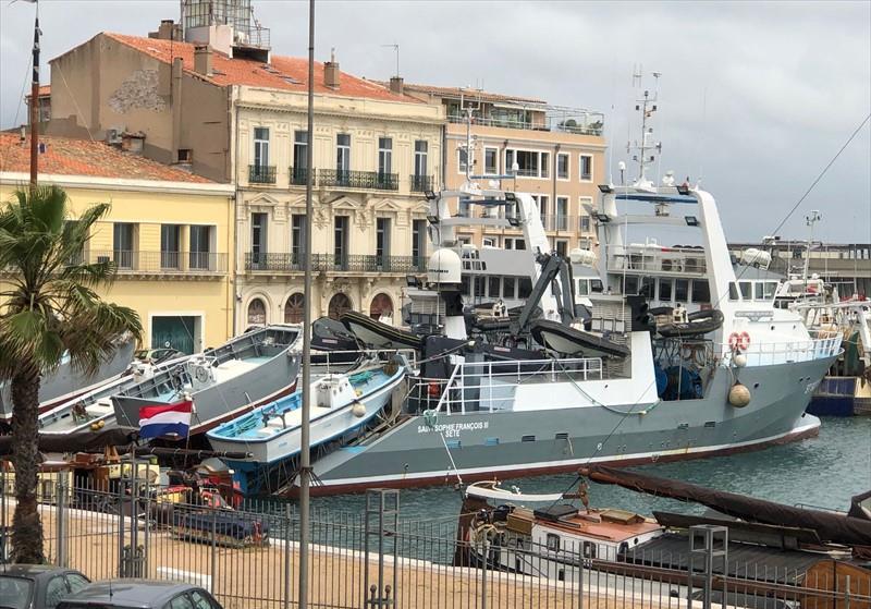 SAINT SOPHIE FRANCOIS III - Vesseljoin