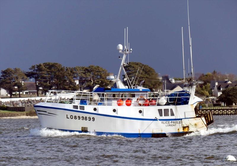 ALICE PAUL 2 - Vesseljoin