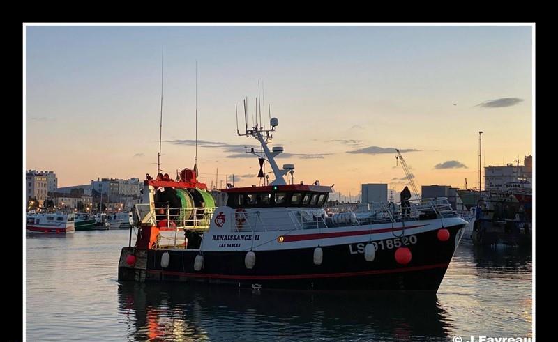 RENAISSANCE II - Vesseljoin