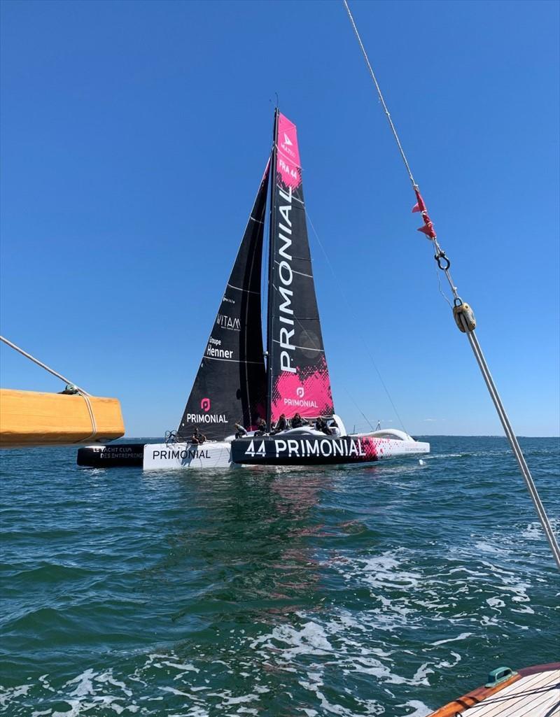 PRIMONIAL SOLOSAILOR - Vesseljoin