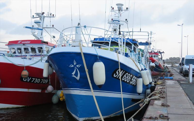 PAPI PAUL - Vesseljoin