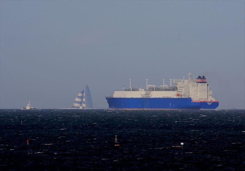 ELISA LARUS - Vesseljoin