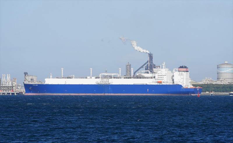 ELISA LARUS - Vesseljoin