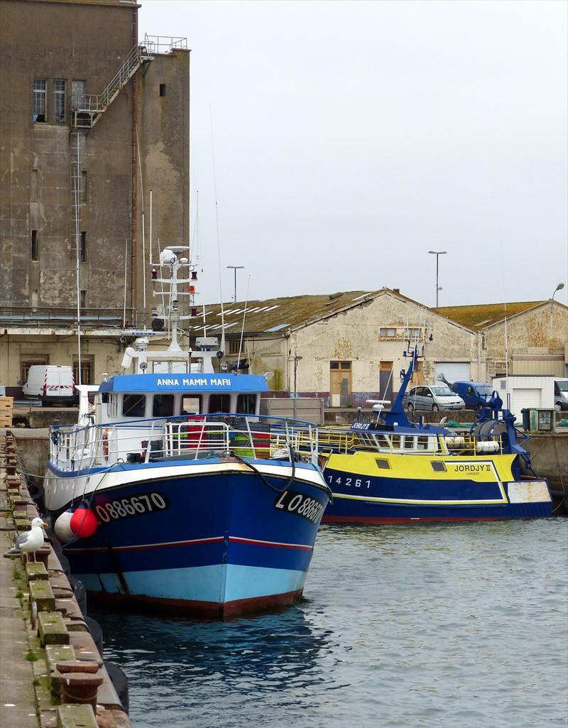 ANNA MAMM MARI - Vesseljoin