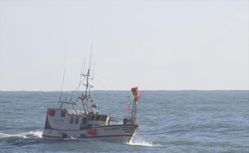 MOBY DICK - Vesseljoin