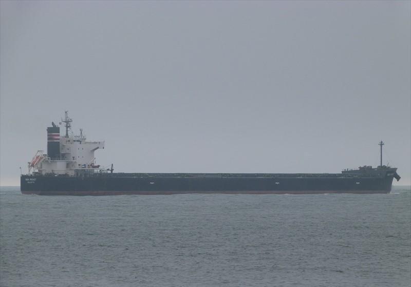 NBA MONET - Vesseljoin