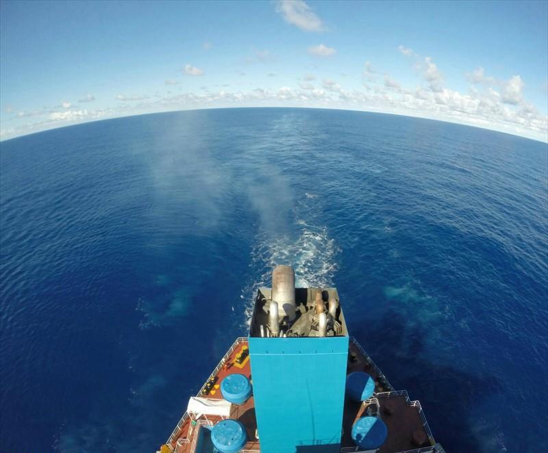 FLAG THENIA - Vesseljoin