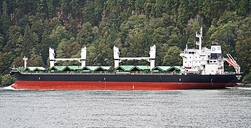 DENSA CHEETAH - Vesseljoin