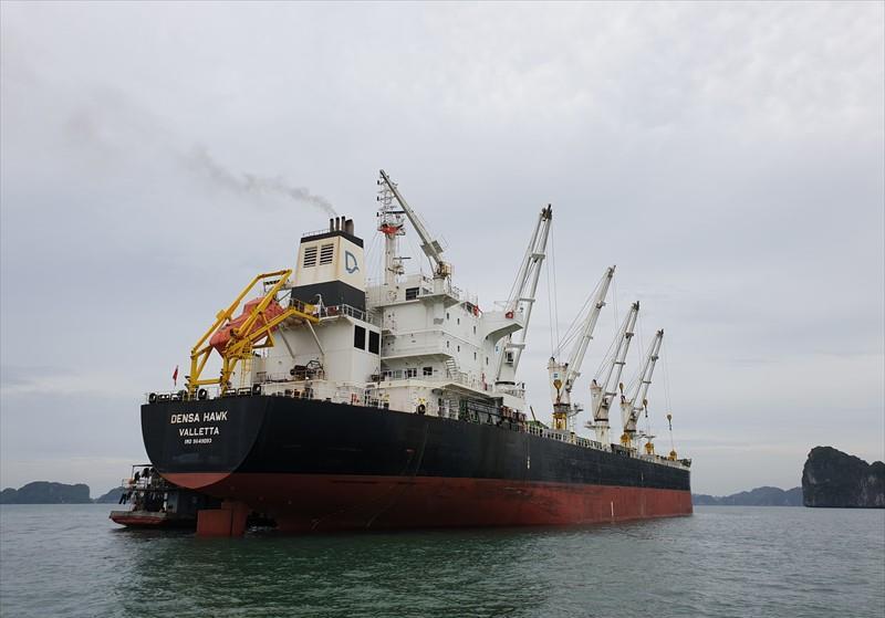 DENSA HAWK - Vesseljoin