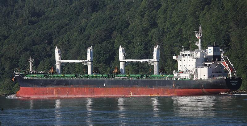 DENSA HAWK - Vesseljoin