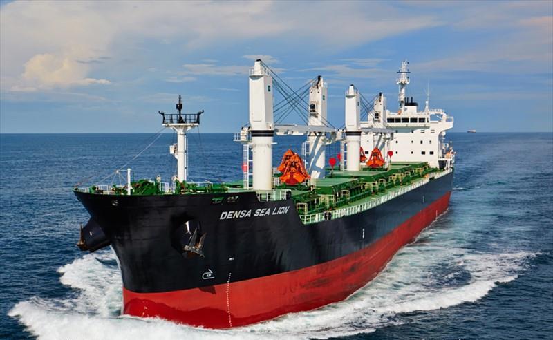 DENSA SEA LION - Vesseljoin